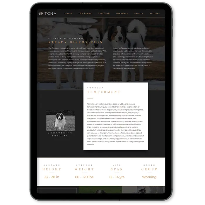 Sitellama | Website Design and Development